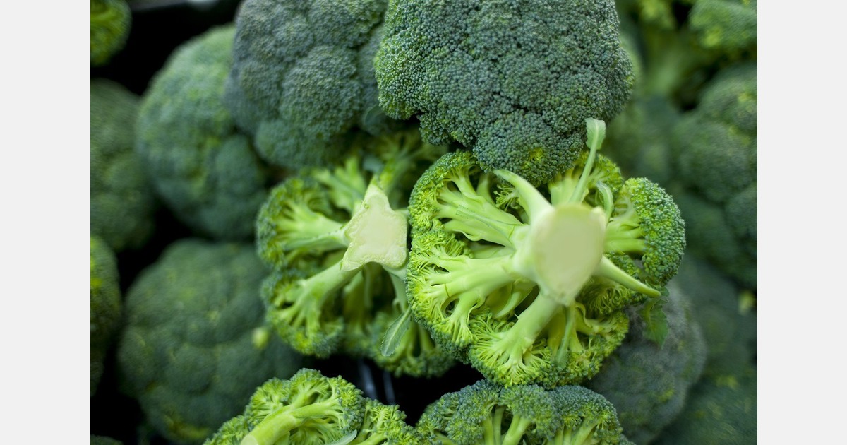 "There are a lot of sorting discrepancies with Spanish broccoli"