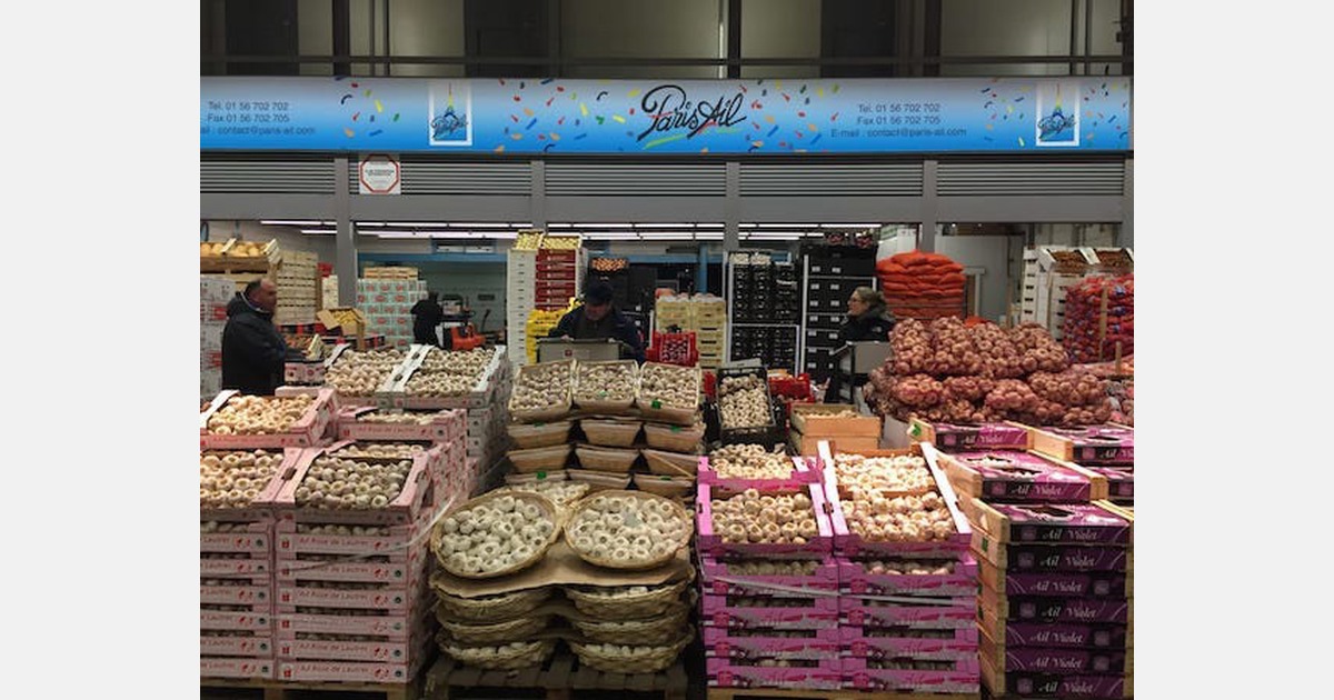 "Sluggish onion market in spite of low prices"