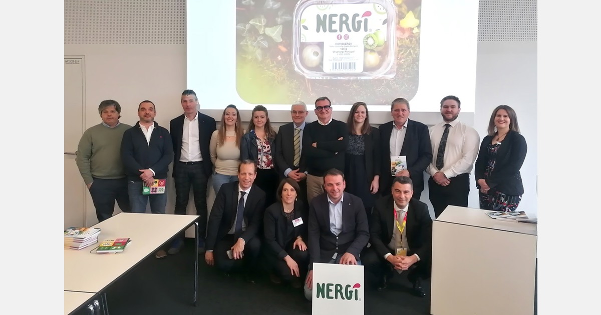 Nergi celebrates 20th anniversary and unveils new visual identity at ...