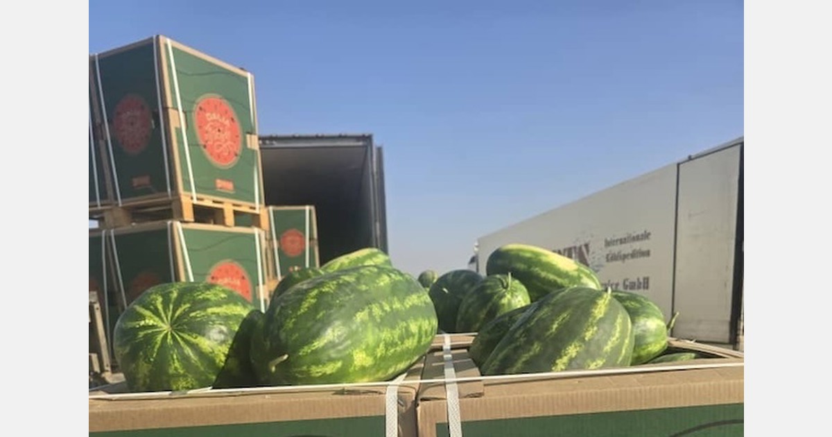 Egypt to address the shortage of Moroccan watermelons?