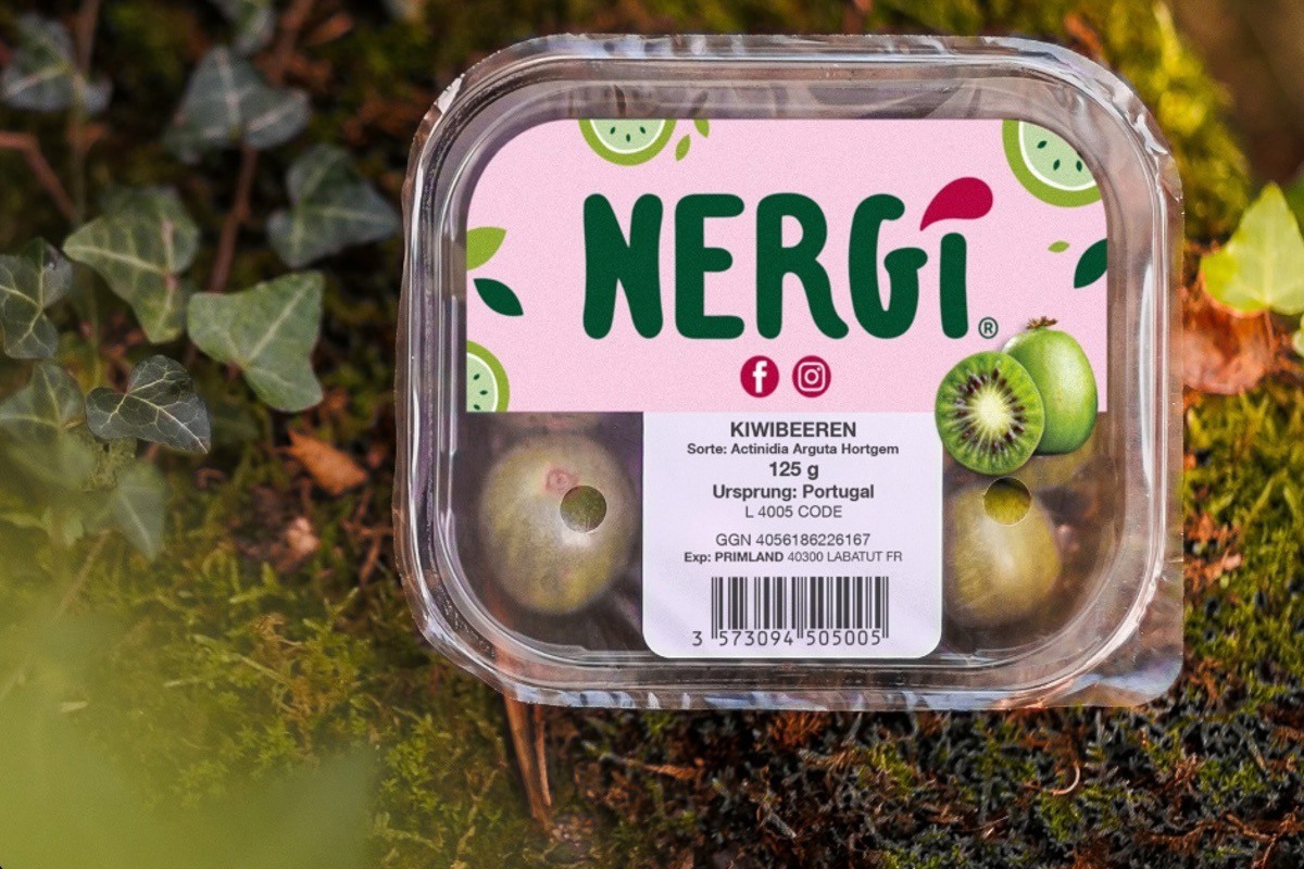 Nergi enters the 2025 season with a new visual identity