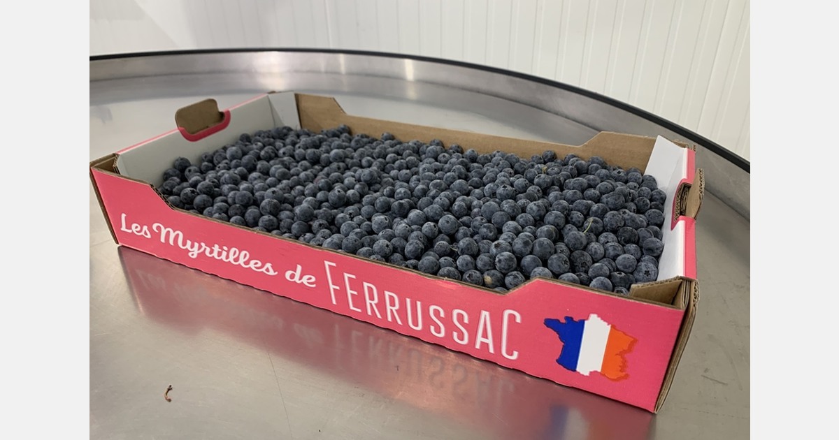 "We're banking on commercial and technical innovation to raise the ...