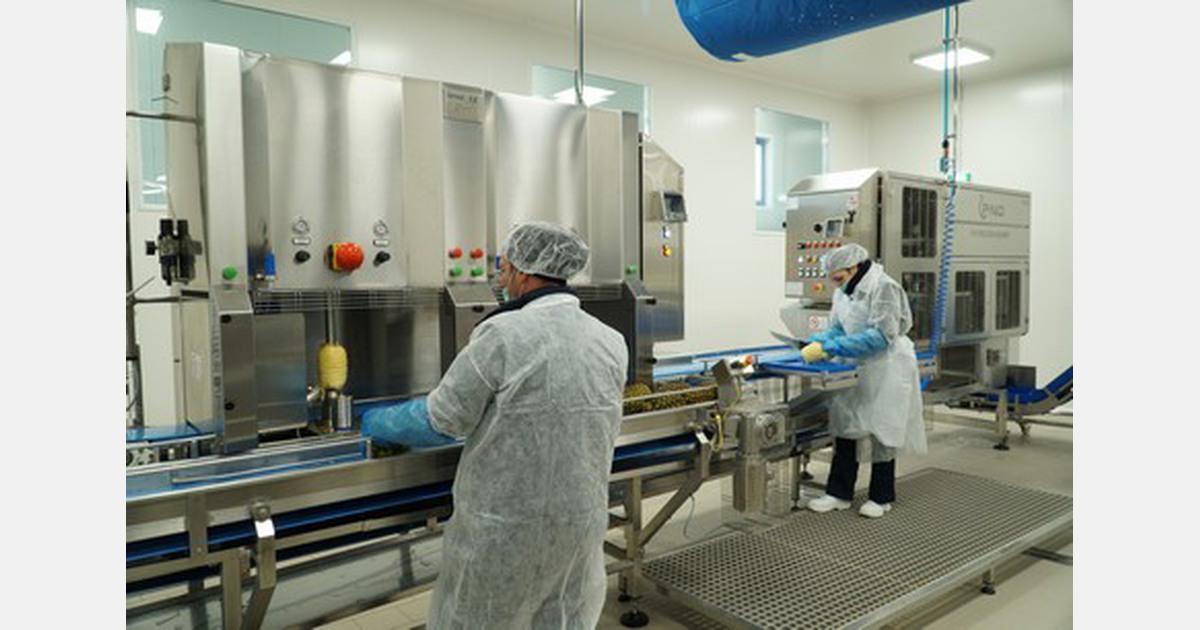 Orsero inaugurates a new plant for producing ready-to-eat fruits