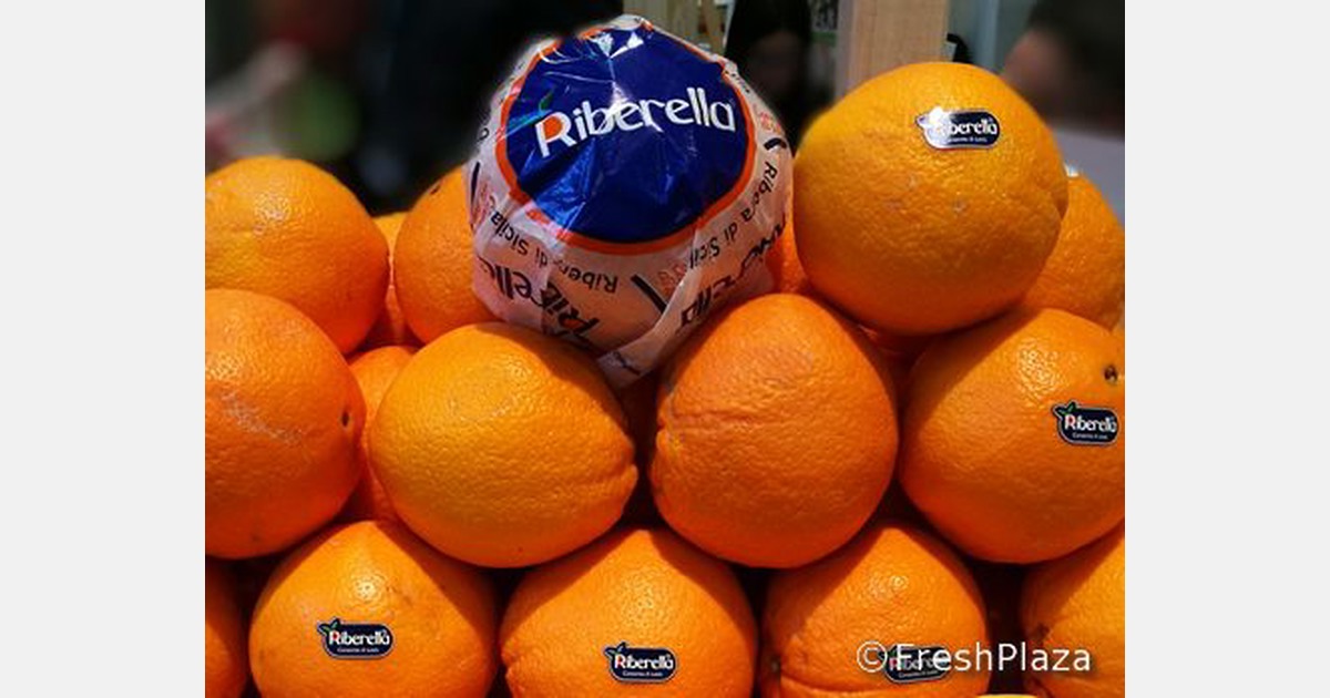 A new record for Arancia di Ribera DOP with 10 million kg sodl