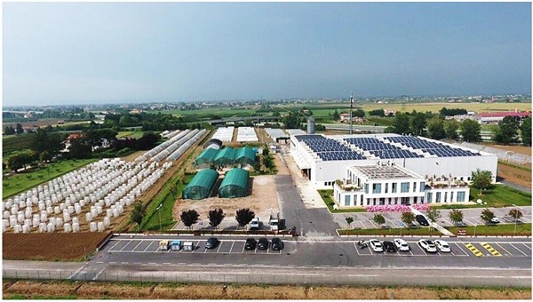 Full and innovative baby leaf range supplied by the Italian Maraldi