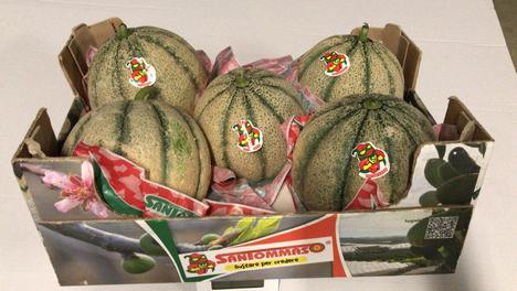 The Sicilian melon campaign is starting