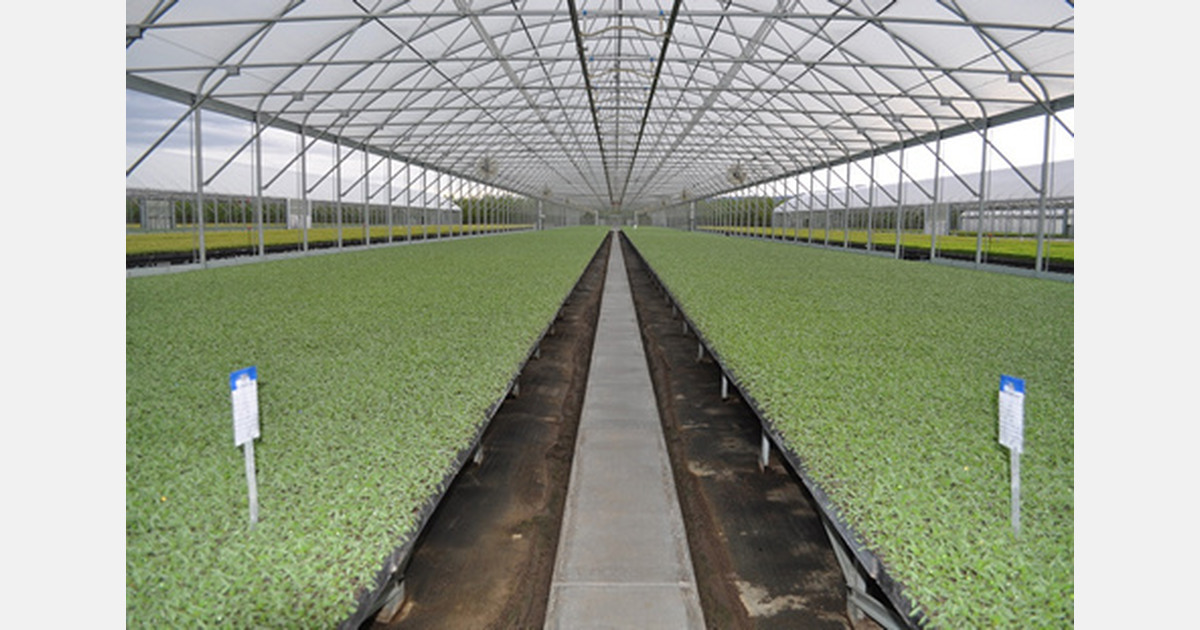 California Masterplant adopts SELDA Informatica's winTutor IRIS management software