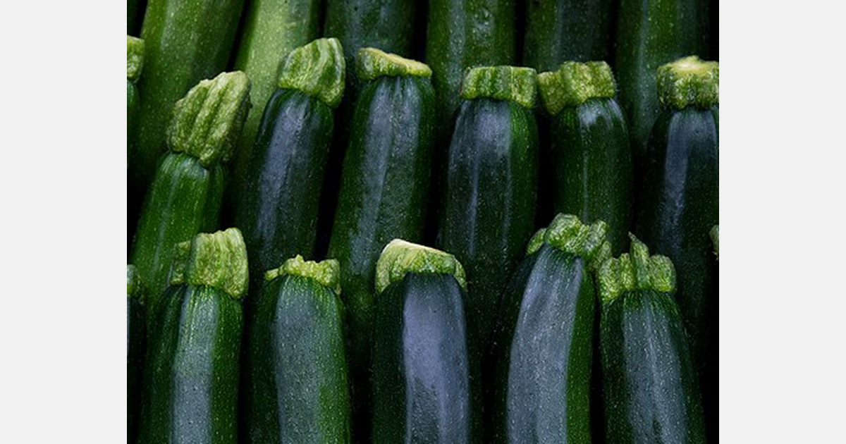 Summer vegetables: courgette and cucumber in the spotlight