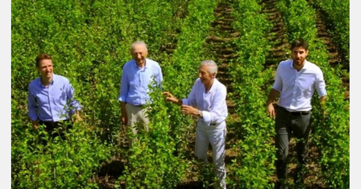 Gruppo Mazzoni to present videos at Macfrut Digital