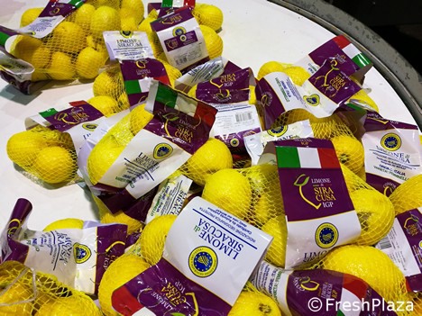 Tailor-made supplies for the European citrus fruits market