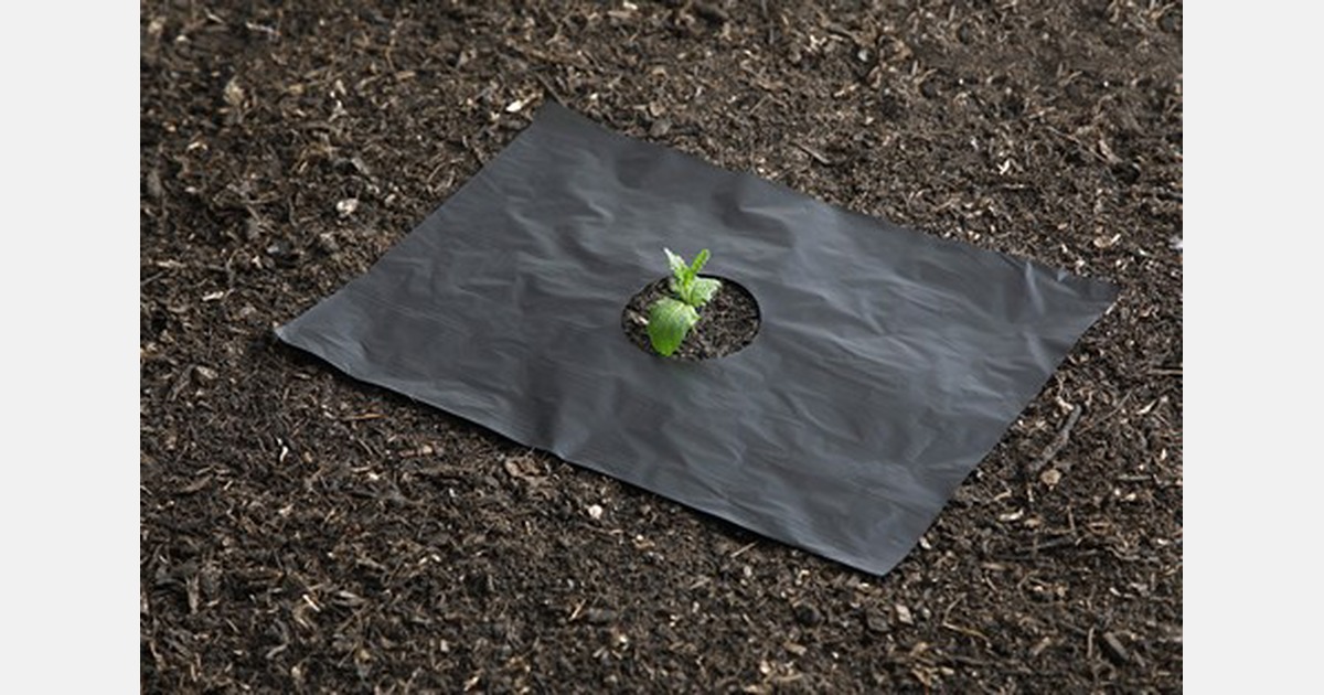 High-performance and practical biodegradable mulching films