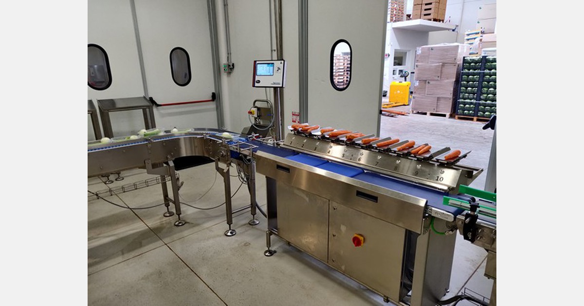 Solutions that optimize the fruit and vegetable packaging process