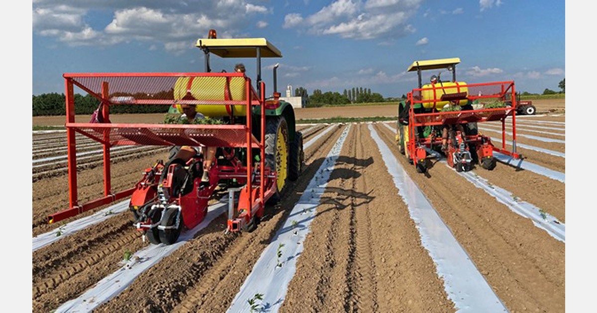 A transplanter that makes the difference