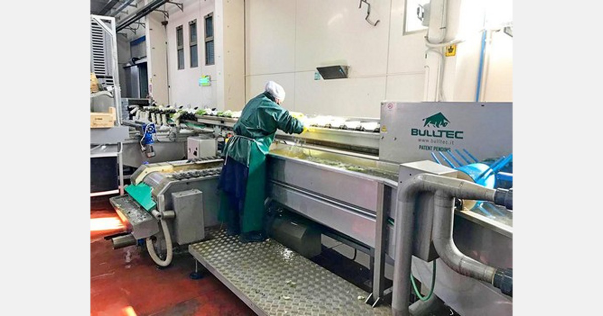 New vegetable processing system