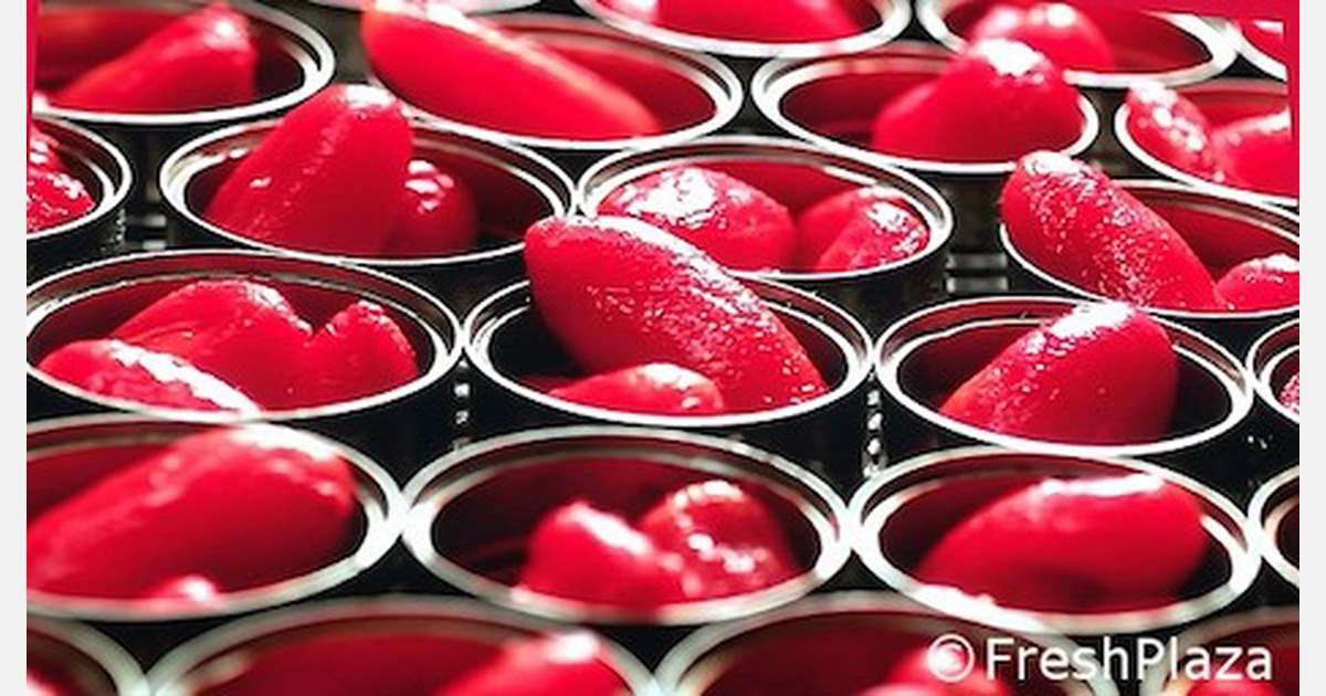 Debate on the PGI origin trademark 'Pomodoro pelato di Napoli' for ...