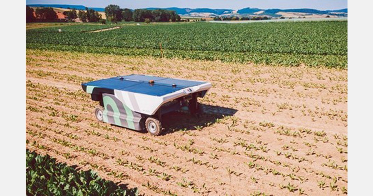 Electric robot for a precise weed control