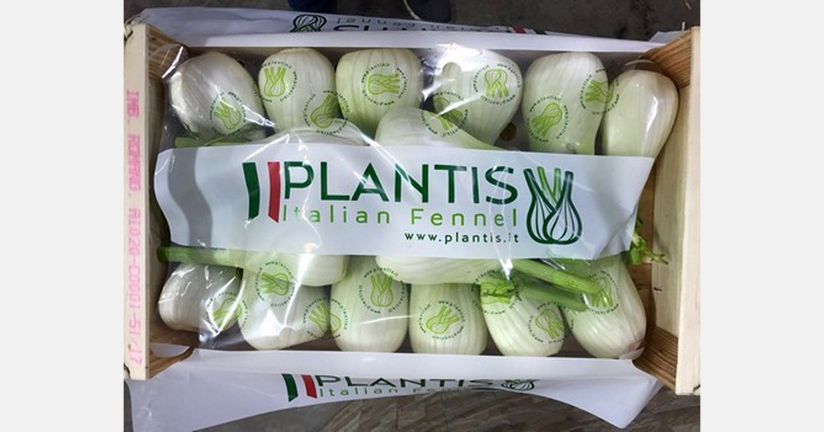 Mixed pallets are a favorite during the pandemic