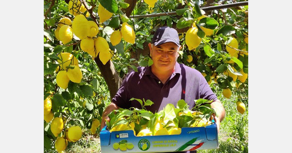 Limorè closes lemon campaign with astonishing results