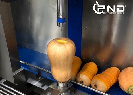 How to obtain butternut squash for the fresh-cut market