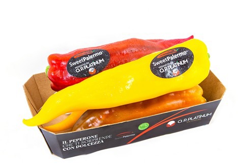 Harvesting of Sweet Palermo peppers started in Sicily