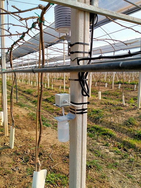 Probes in orchards to manage anti-frost systems
