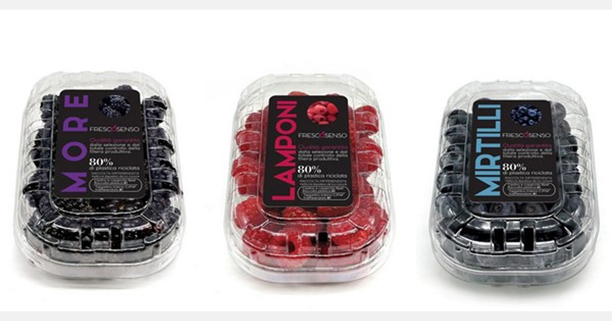 Fresco Senso to introduce packed unwashed berries