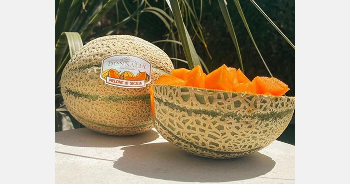 Netted melon and apricot season in full swing in Sicily
