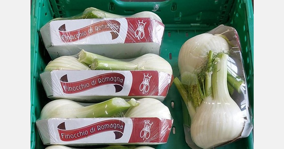 New packaging for Finocchio di Romagna