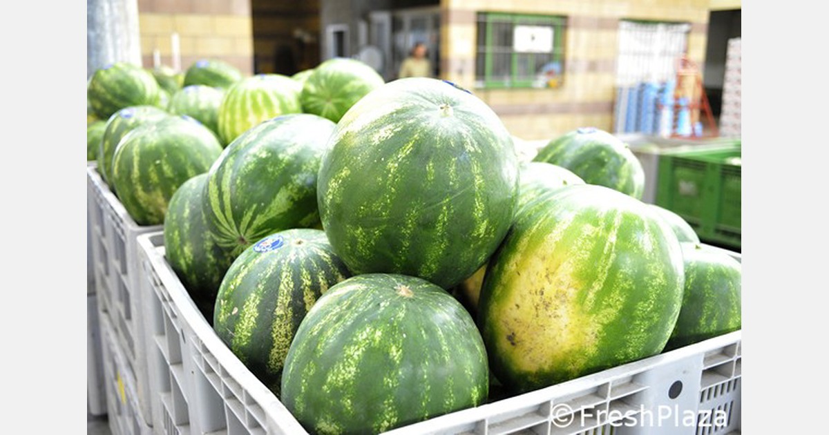 Big variations in watermelon prices