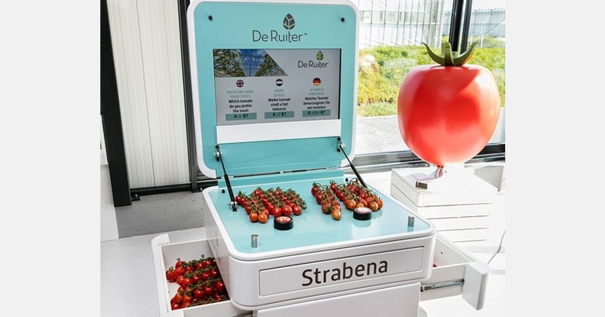 New Strabena tomatoes by Fri-El Green House to become available in October