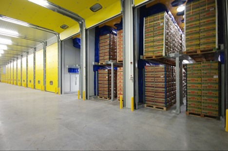 Sistem Cold specializes in cold storage for the fresh produce industry