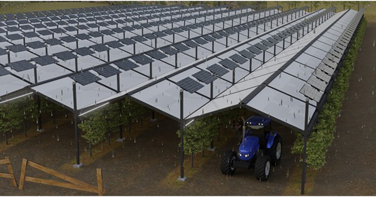 Advanced agri-voltaic installations for fruit and vegetable crops