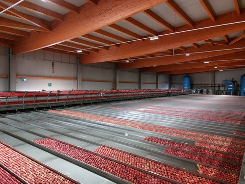 Aweta: "Performance" and "Simplicity" to respond to the shortage of labor