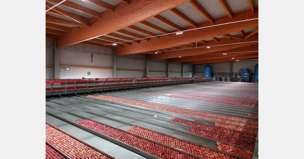 Aweta: "Performance" and "Simplicity" to respond to the shortage of labor