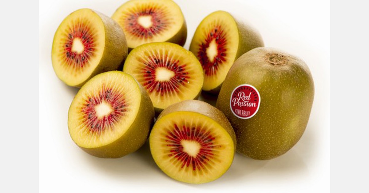 Red and yellow fleshed kiwifruit: excellent forecast for the incoming ...