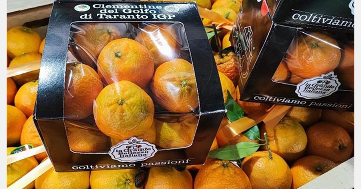 New packaging for Italian PGI clementines