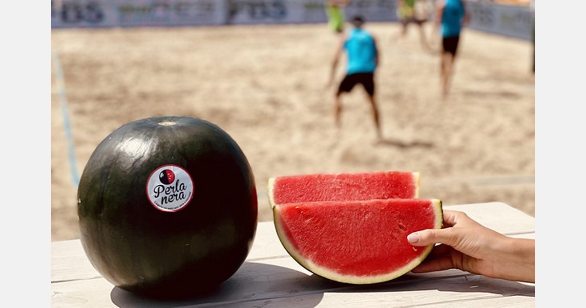 Perla Nera midi watermelon is already looking ahead to 2023