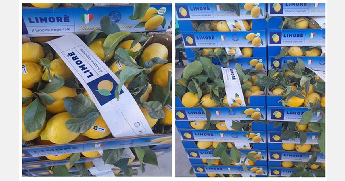"Our lemons are packaged and shipped the same day of the harvest"