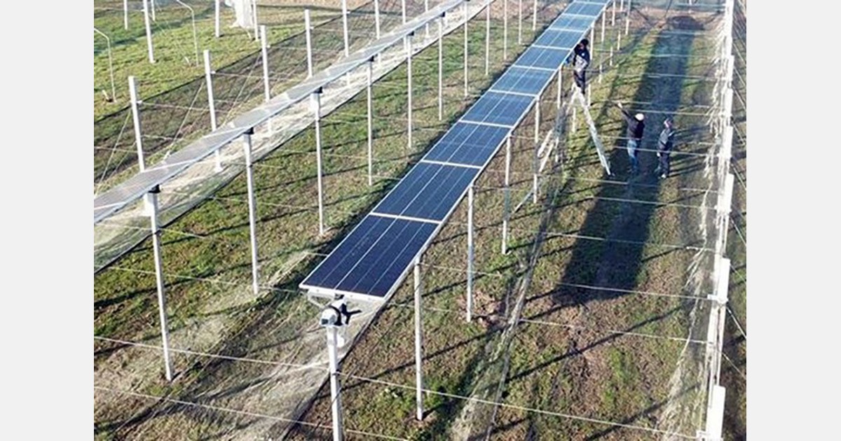 A memorandum of understanding between three companies for agrivoltaic systems