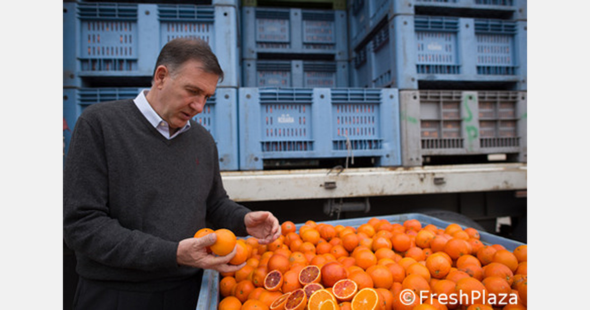 Difficult citrus fruit campaign due to lower volumes