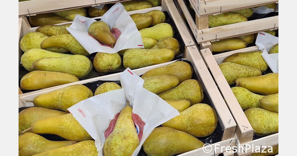 China opens its doors to Italian pears after a lengthy procedure