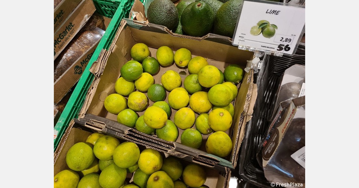 Lime prices are growing but still remain below "normal" values