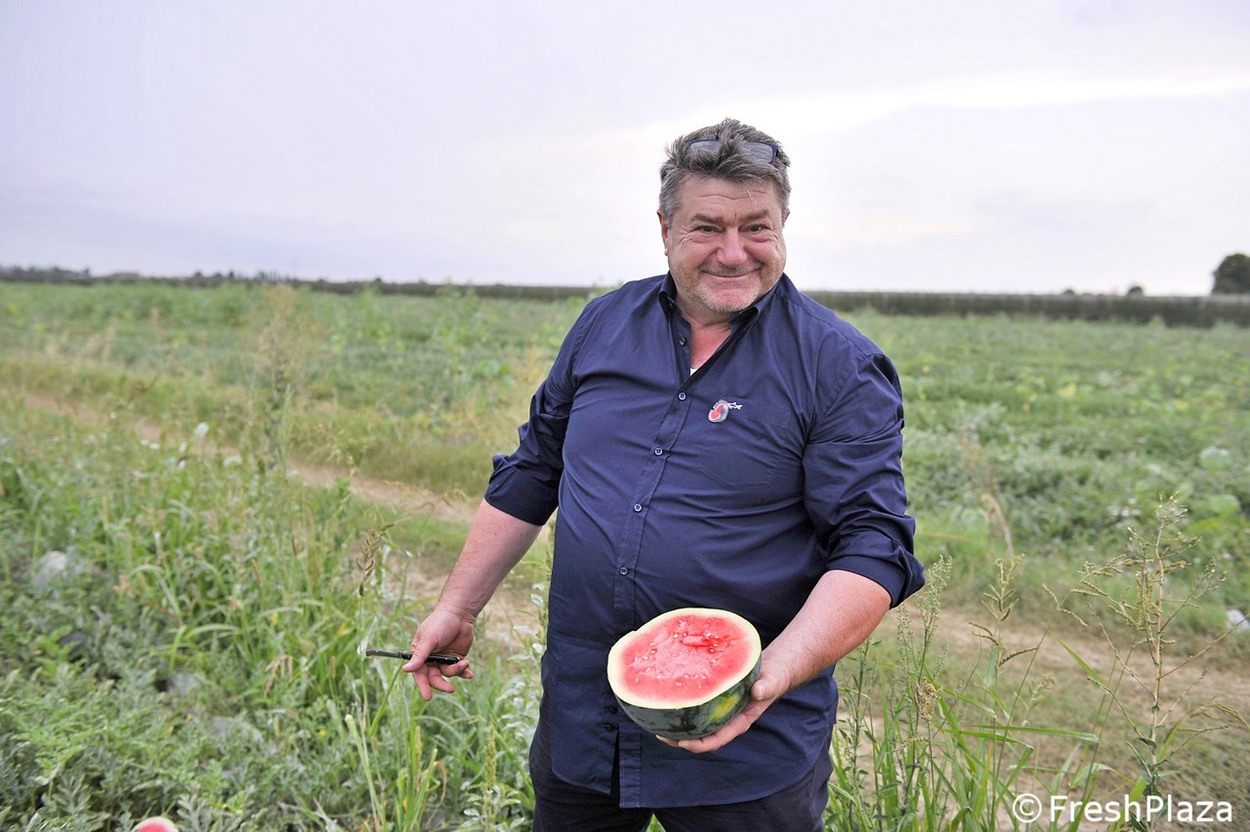 "We will bring the hectares dedicated to seedless, black-skinned ...