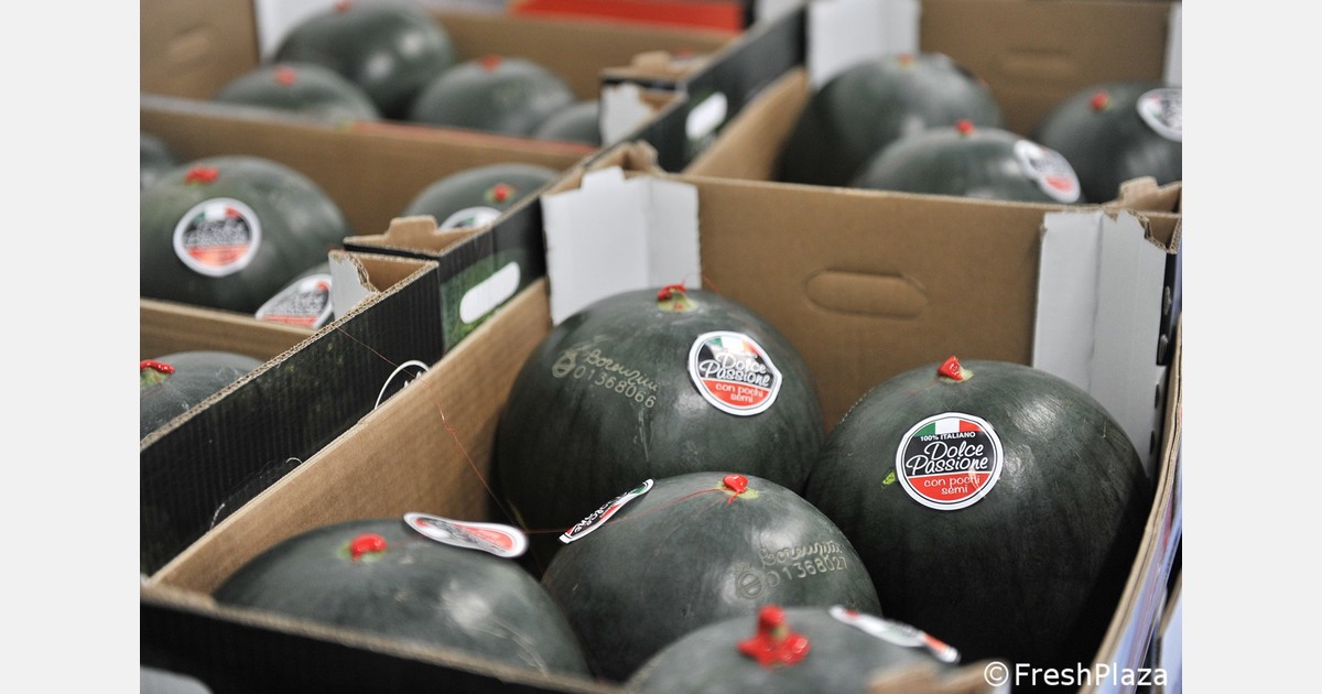 Weather increases watermelon consumption, sales also in the Middle East