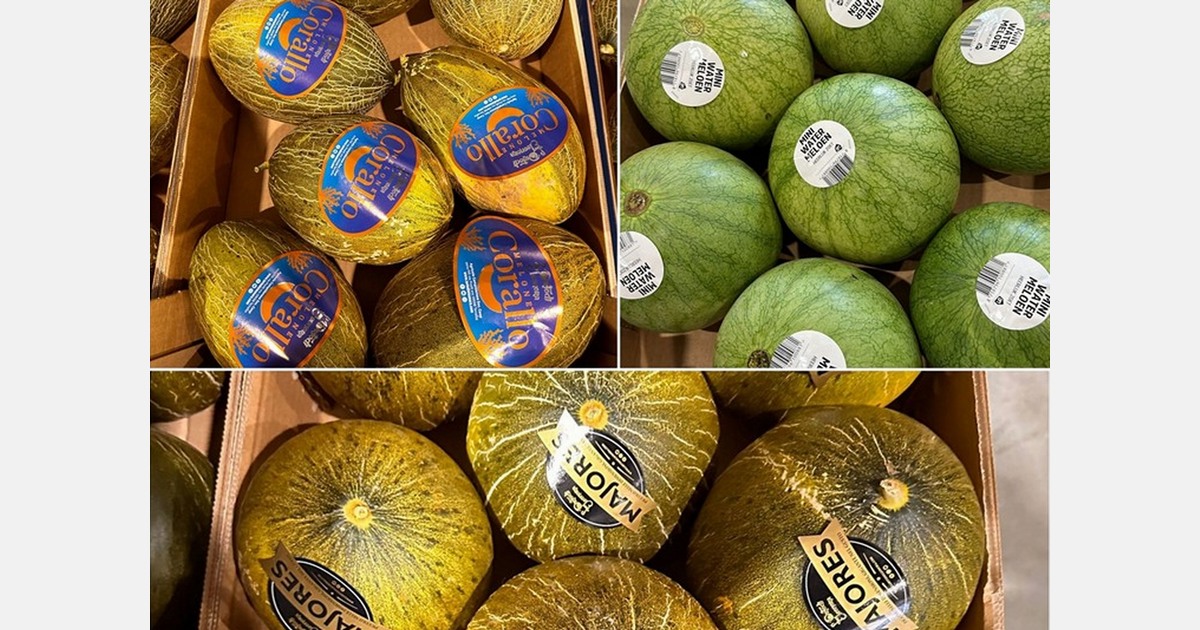 Italian melons and watermelons still teetering