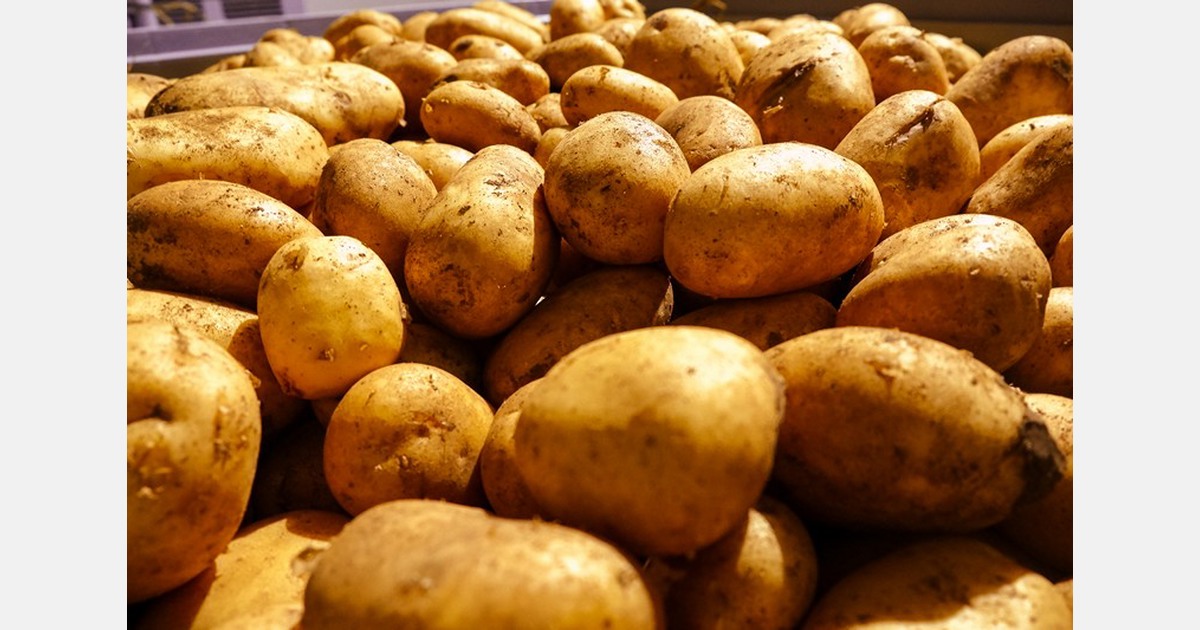 Generating value for the potato chain