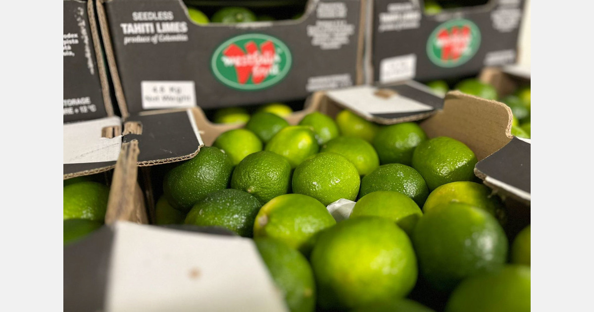 "The lime market is recovering, but volumes remain limited"