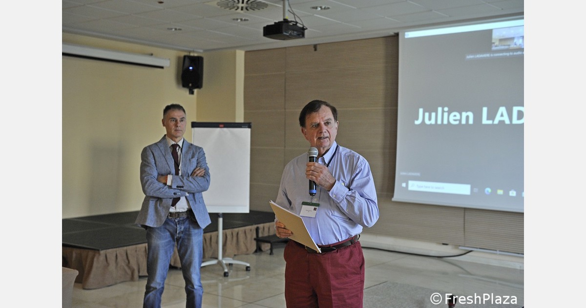 "The weather is affecting onion cultivation all over the world"