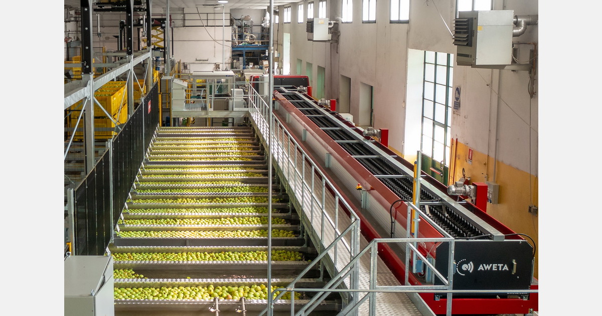 A solution for specific needs in sorting and packaging of apples