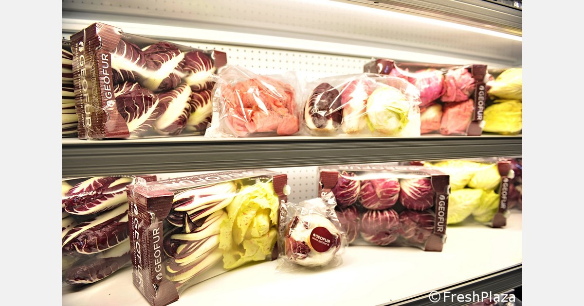 Packaged radicchio is increasingly preferred